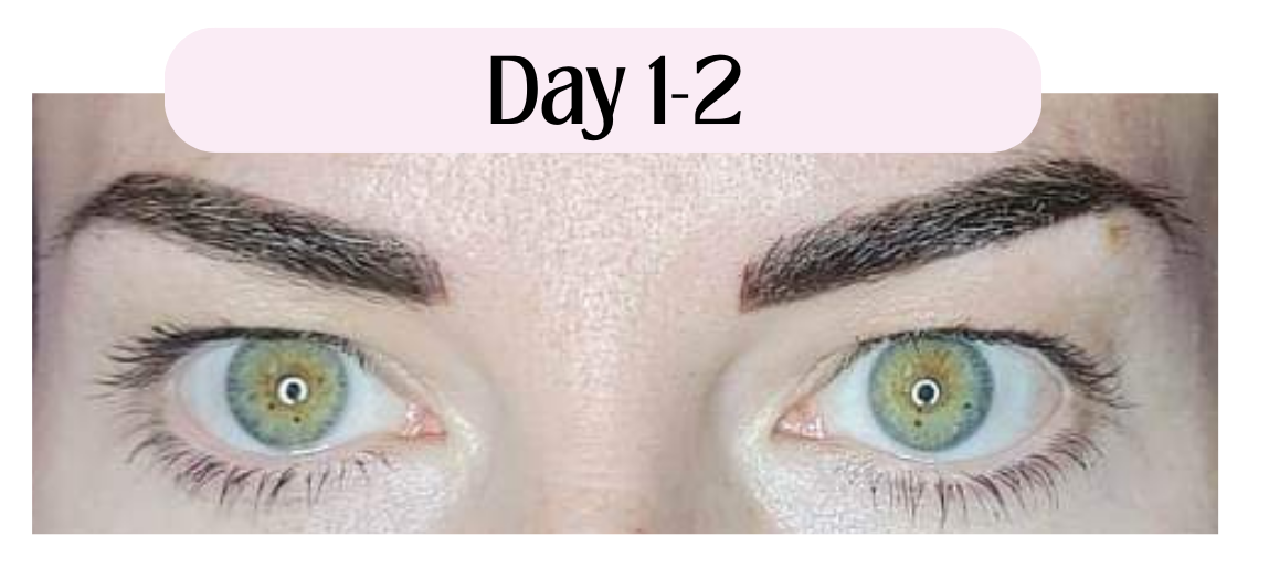 Microblading Healing Process Day By Day: What To Expect Day 1-30