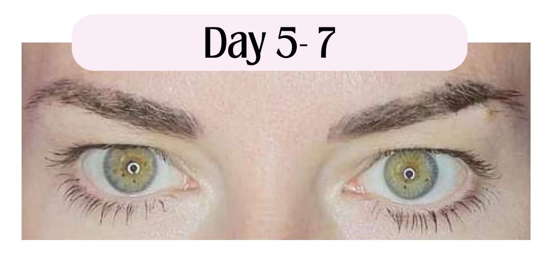 Microblading Healing Process Day By Day: What To Expect Day 1-30